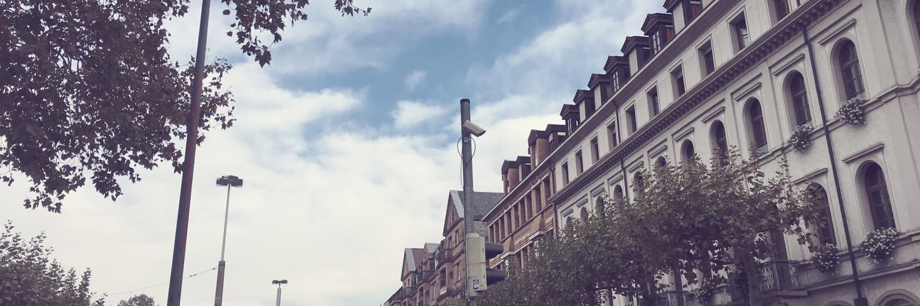 布丁貓 (@putingcat) | Dcard