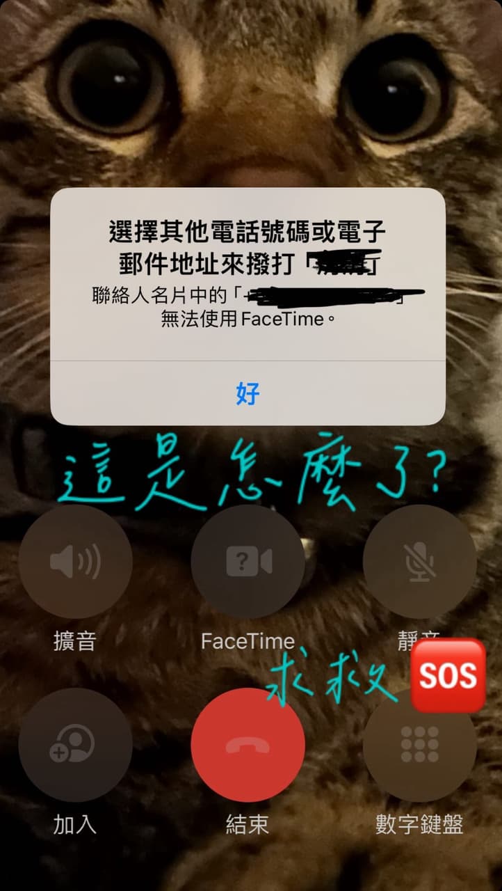 FaceTime - 3C板 | Dcard