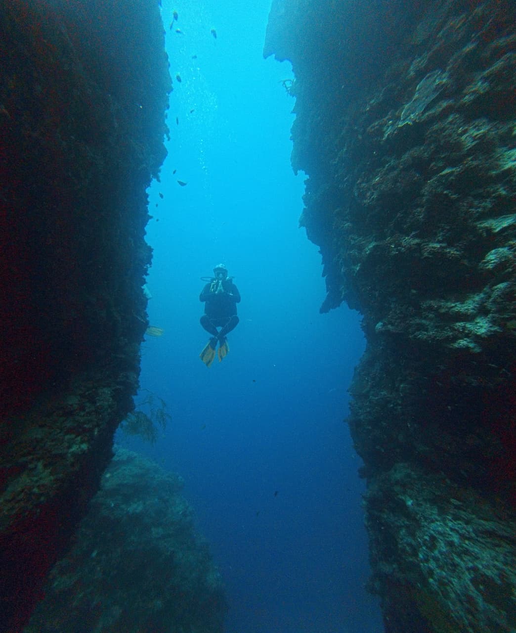 #國外遊記 薄荷島三天兩夜潛水度假村推薦｜台灣人開的 Mario Diving Center 超讚全包體驗｜潛完就耍廢，原來世界上有這麼爽的事 ...