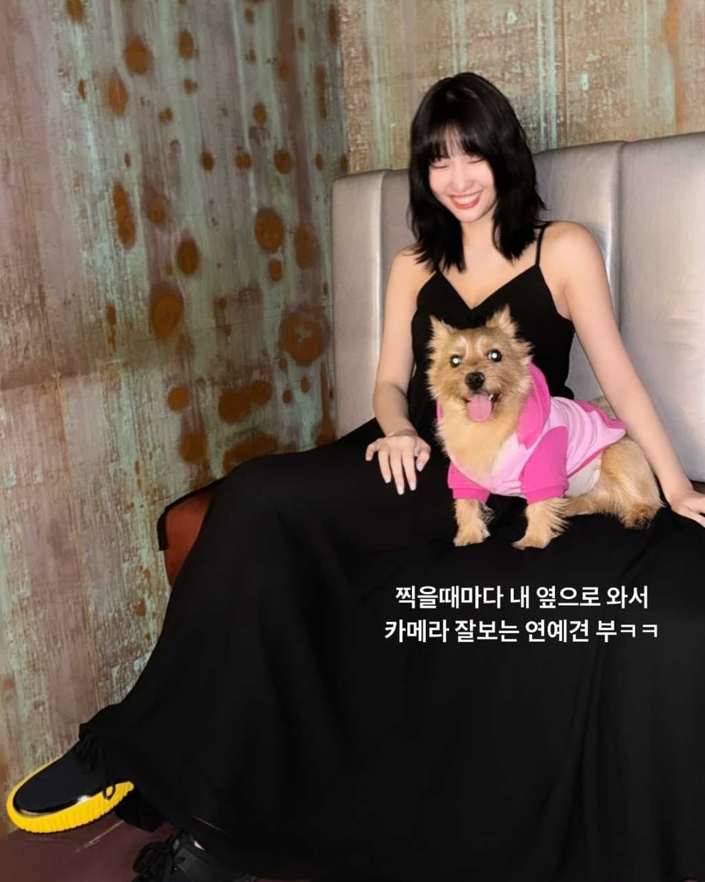 #分享 黑禮服Momo ig新貼文 - TWICE板 | Dcard