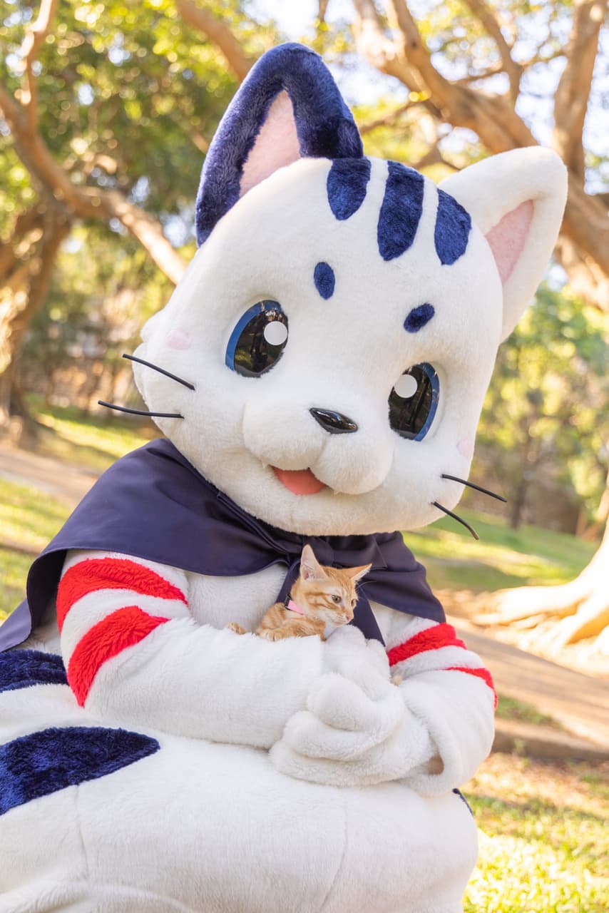 今天是什麼日子…？😼 - 貓月 (@nyanrou_neko) | Dcard