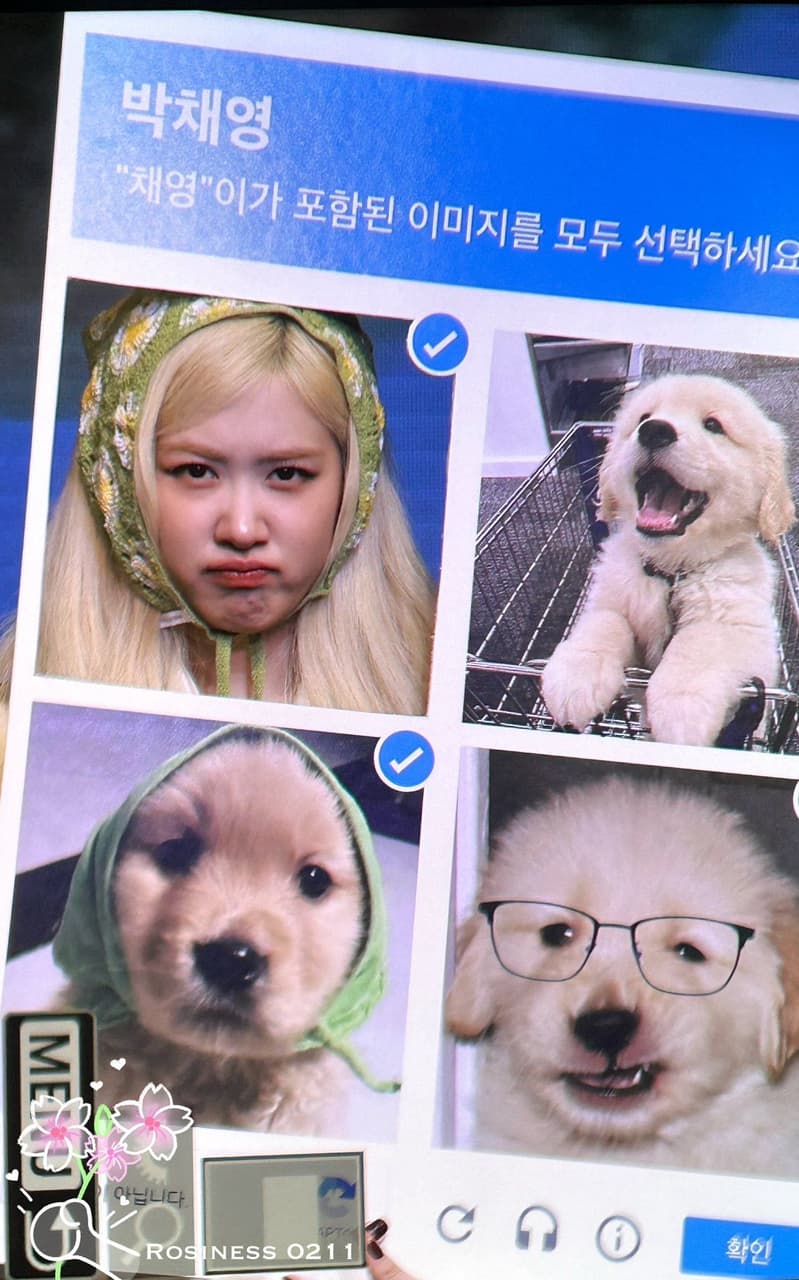 #分享 ROSÉ出席首爾《rosie》專輯簽售會 - BLACKPINK板 | Dcard