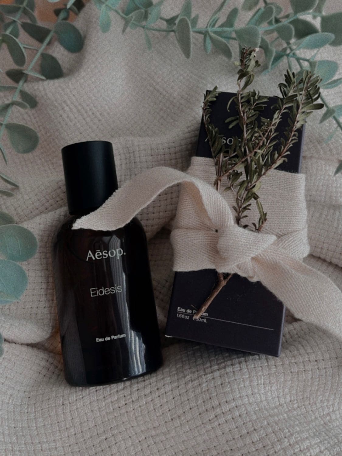 #分享 Aesop新香水-艾底希思Eidesis - 香氛板 | Dcard