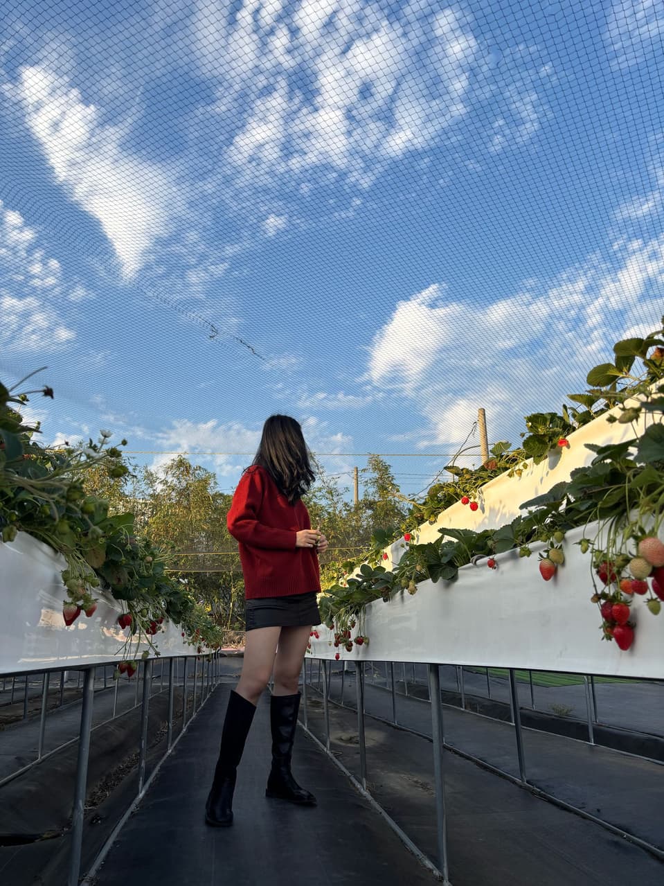 #異性 誠徵另一半 - B372 留言 | Dcard