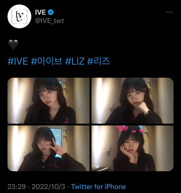 #閒聊 IVE的小貓咪—Liz 生日快樂🎂 - IVE板 | Dcard