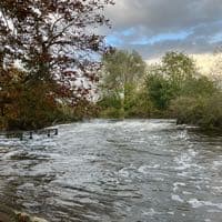 摸摸猫手手 (@miphamyqueen) | Dcard