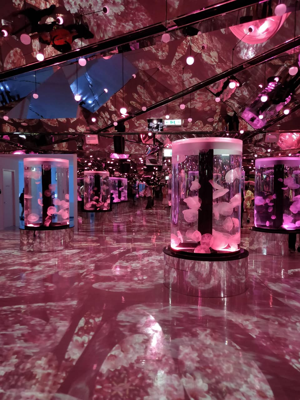 Xpark 照片分享 - 神隱少女 (@dory.fish) | Dcard