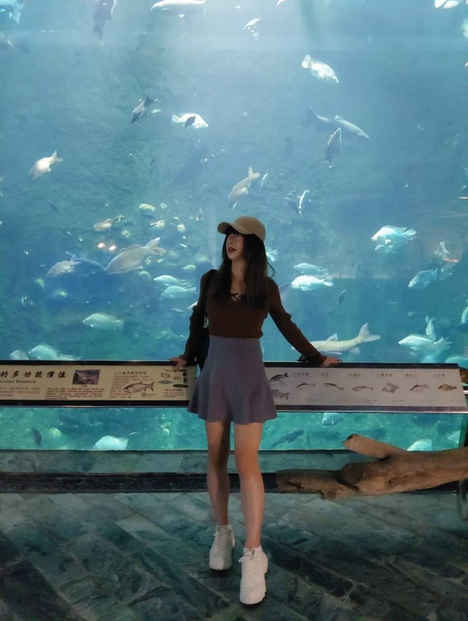 魚比人自在 不需要社交 - 雪兒 (@mimi_5484) | Dcard