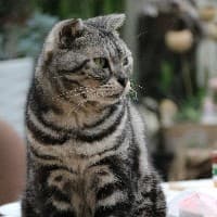 不客觀青年 (@immortality) | Dcard