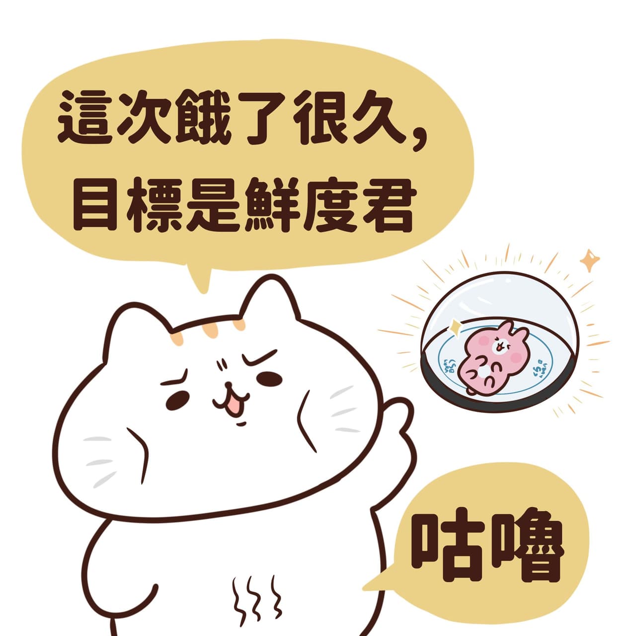 箱居的野良貓 (@particat) 的公開頁面 | Dcard