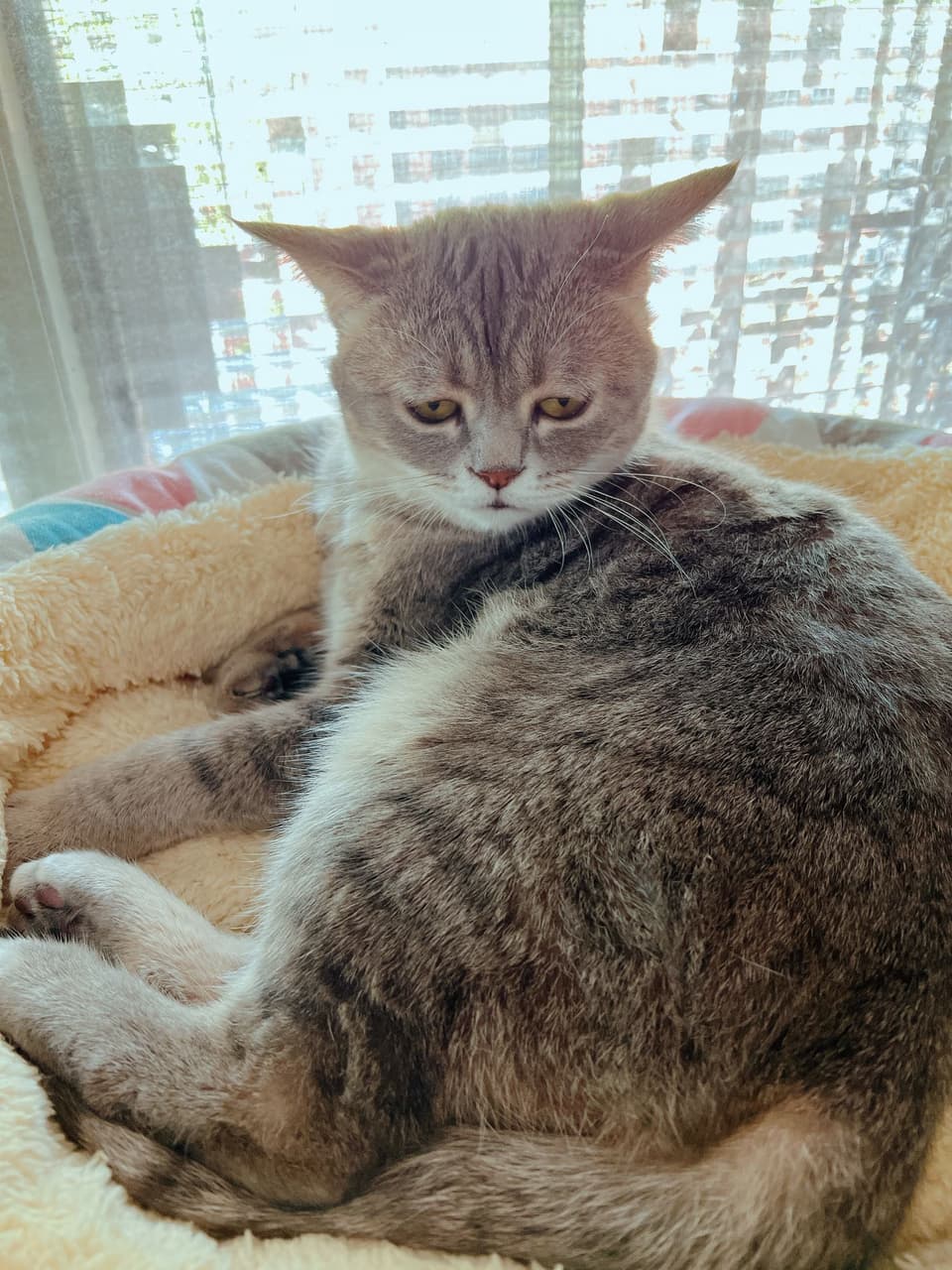 不要吵我睡覺 - 搗灰的娘親 (@mm951113) | Dcard