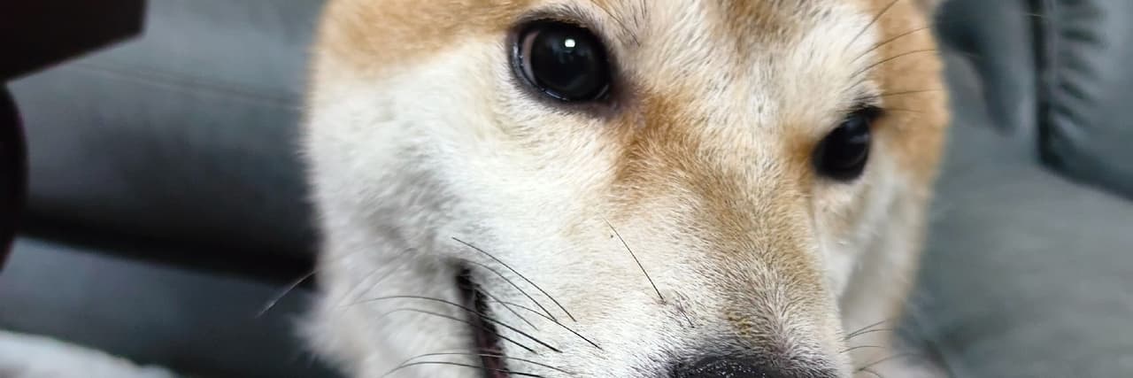 兄弟 (@rm45788) | Dcard