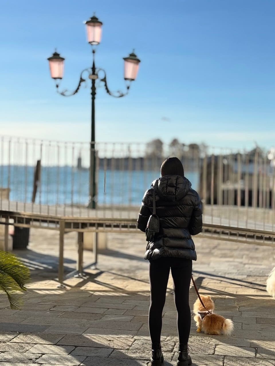 #國外遊記 #國外 雋品旅遊-義大利14天旅遊心得 - 旅遊板 | Dcard