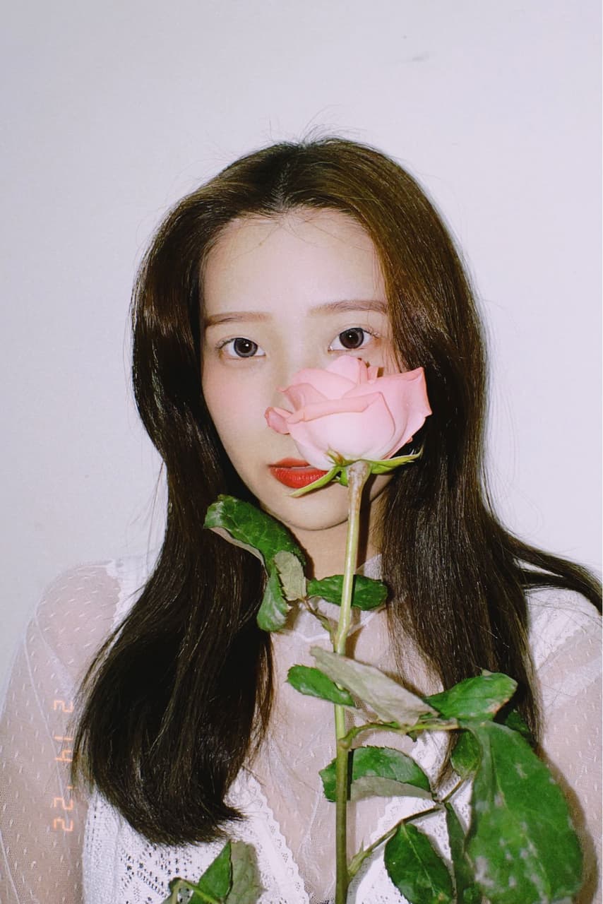 3款近期愛用濾鏡分享💕 - 奶昔昔 (@xixi0622) | Dcard