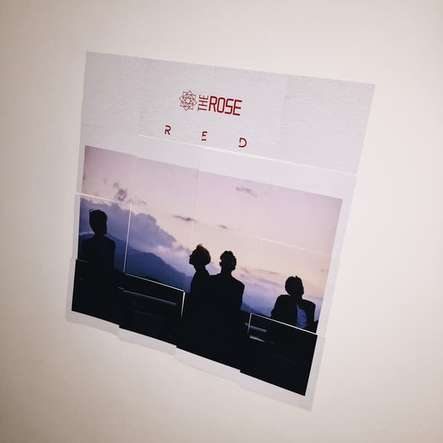 THE ROSE《RED》專輯開箱🥀 - 追星板 | Dcard