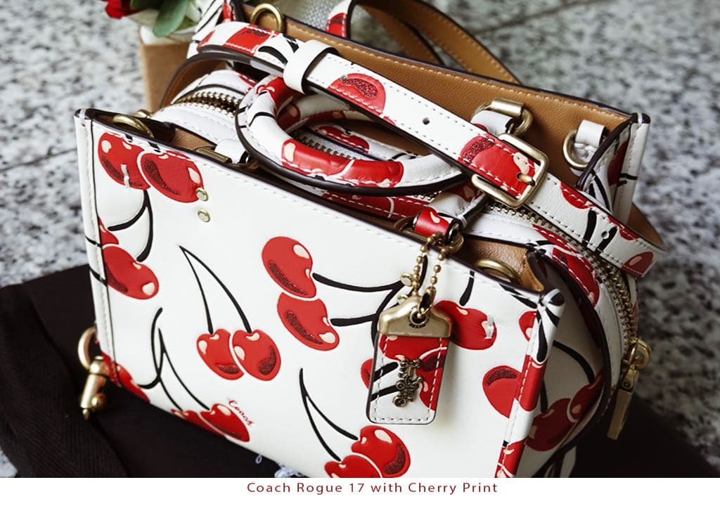#開箱 COACH 櫻桃🍒Rogue 17 - 精品板 | Dcard