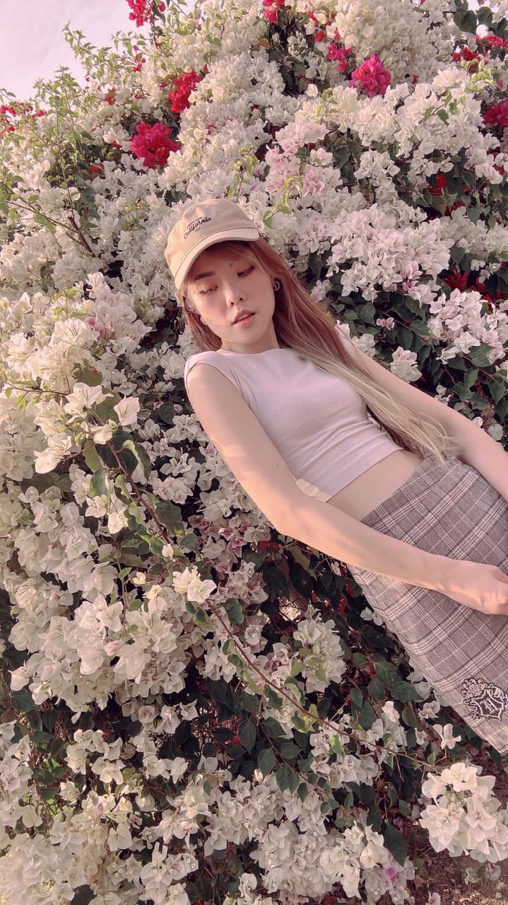 已經不是秘境的九重葛花牆 - 凡妮99 (@vs99) | Dcard