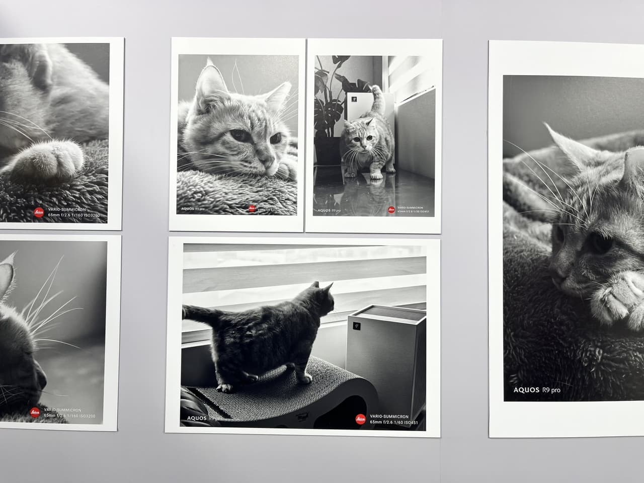 分享Sharp R9 Pro華山體驗心得 - 3C板 | Dcard