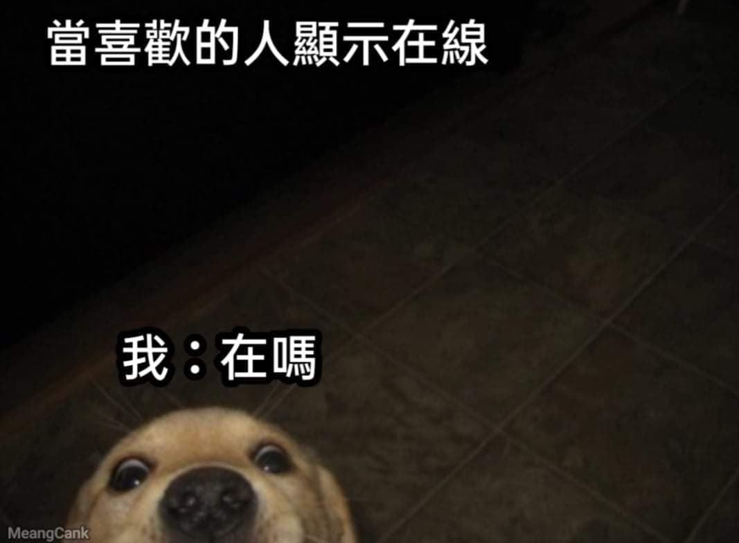 想求暈船仔的梗圖´;ω;` B20 留言 Dcard