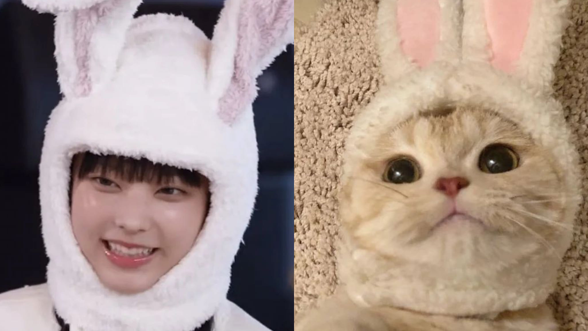 #閒聊 很像貓咪的女偶像Haerin😻求圖分享>