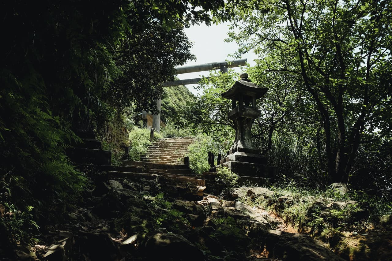 #作品 X-T20五年回顧 - 攝影板 | Dcard