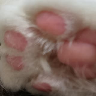 羽 (@biano111) | Dcard