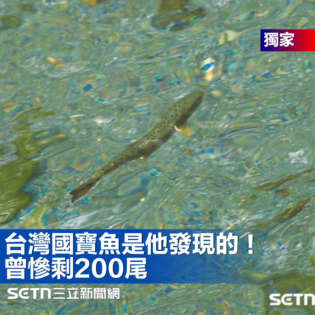 獨家／台灣國寶魚是他發現的！從慘剩200尾到現在18000隻 水中優游照曝 - SETN三立新聞網 (@setn54) | Dcard