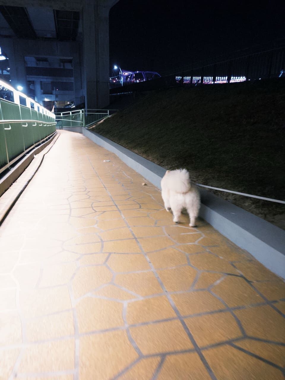 散步嘍 - 母湯 (@someone_18) | Dcard