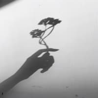 魚山 (@fishmount) | Dcard