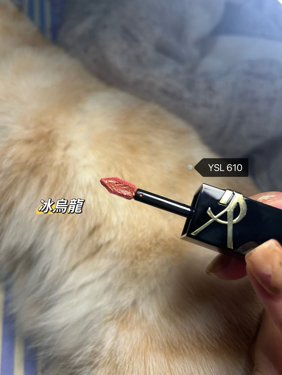 #分享 YSL 愛心管身610新品唇釉💄 - 美妝板 | Dcard