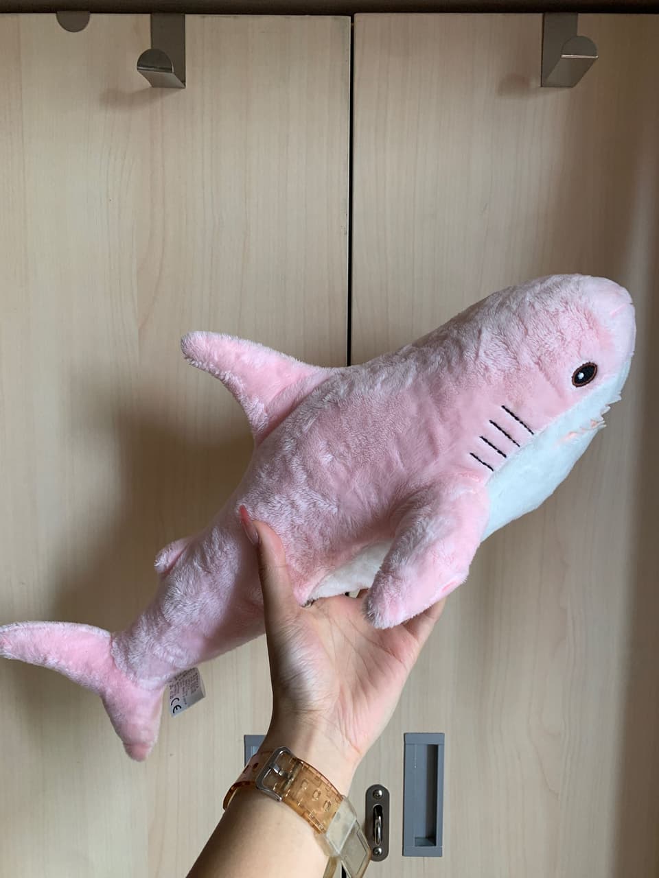 售小鯊魚 可議價 明志科大板 Dcard
