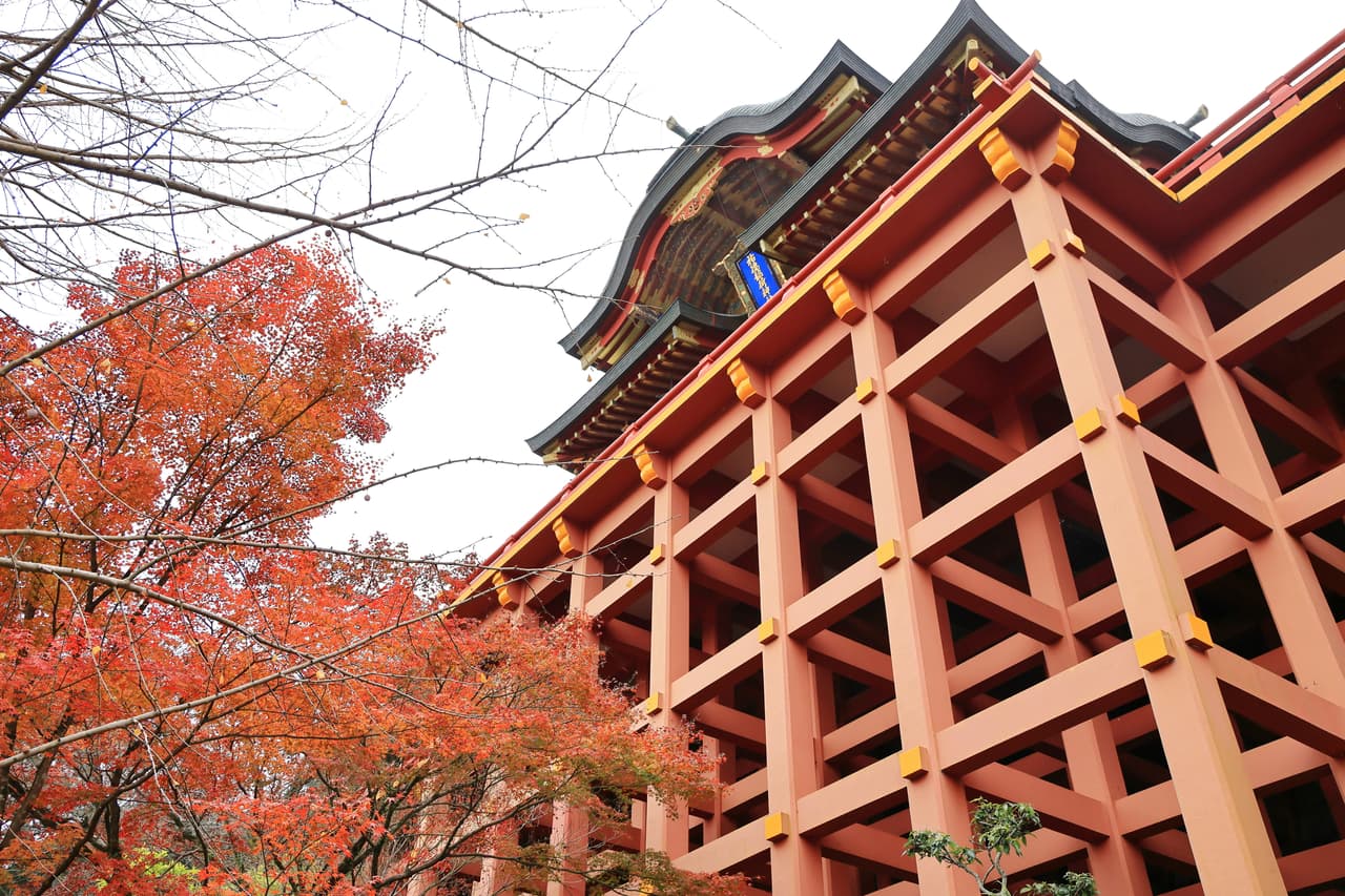 (映像旅行) 與可愛虎將一起大啖和牛賞楓紅in日本佐賀 feat.台灣虎航 - 映像生活 (@imagelife) | Dcard