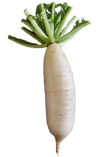 #分享 瘦小腿手術（更手術後第37天 - B259 留言 | Dcard