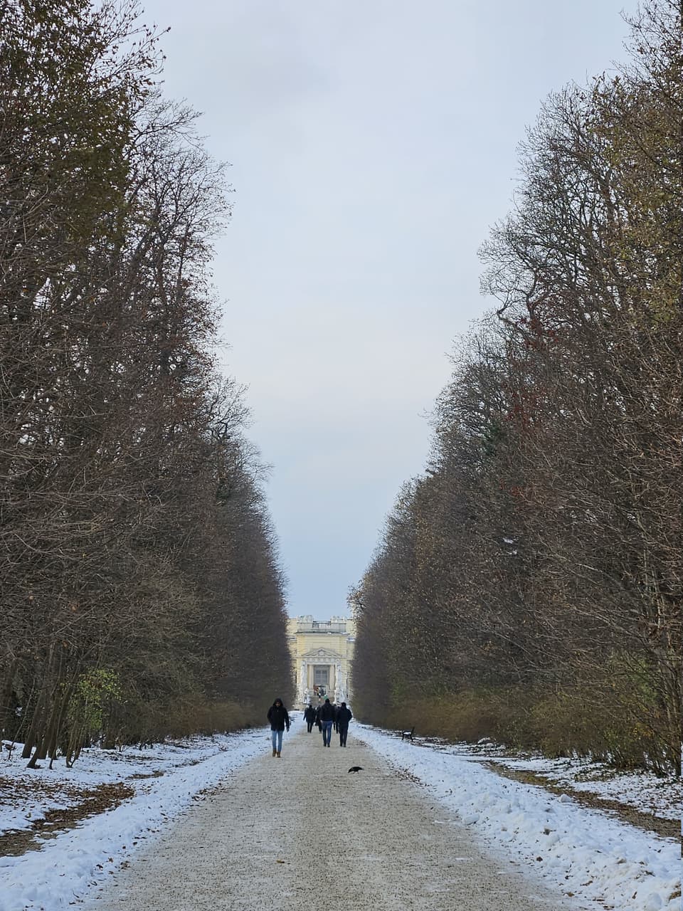 #國外遊記 冬遊捷奧（德） 第一次歐洲自助行的10個Tips - 旅遊板 | Dcard