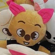 是SKZO…😍嗯? - 闊卡保育員 (@double.y) | Dcard