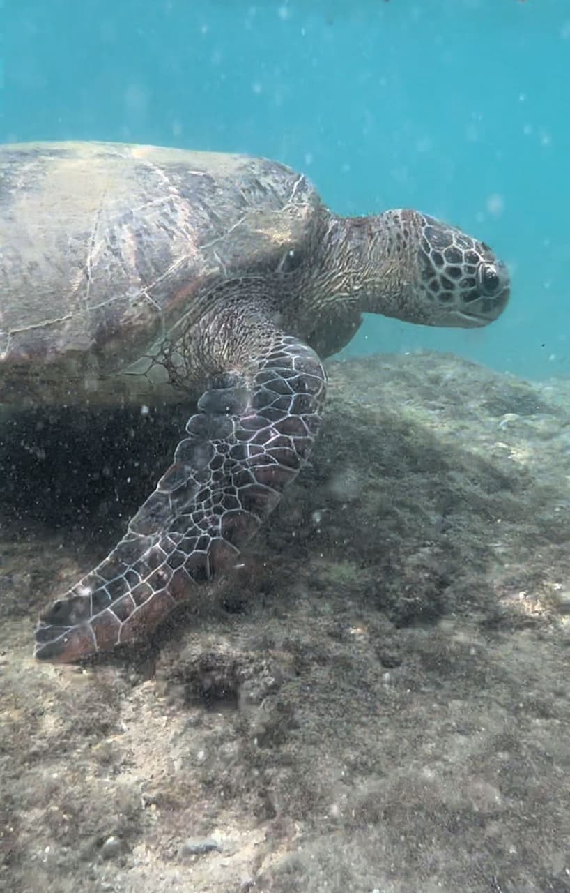 七夕情人節的晚上( ´θ`)ノ - 小肥魚魚 (@smallfatfish) | Dcard