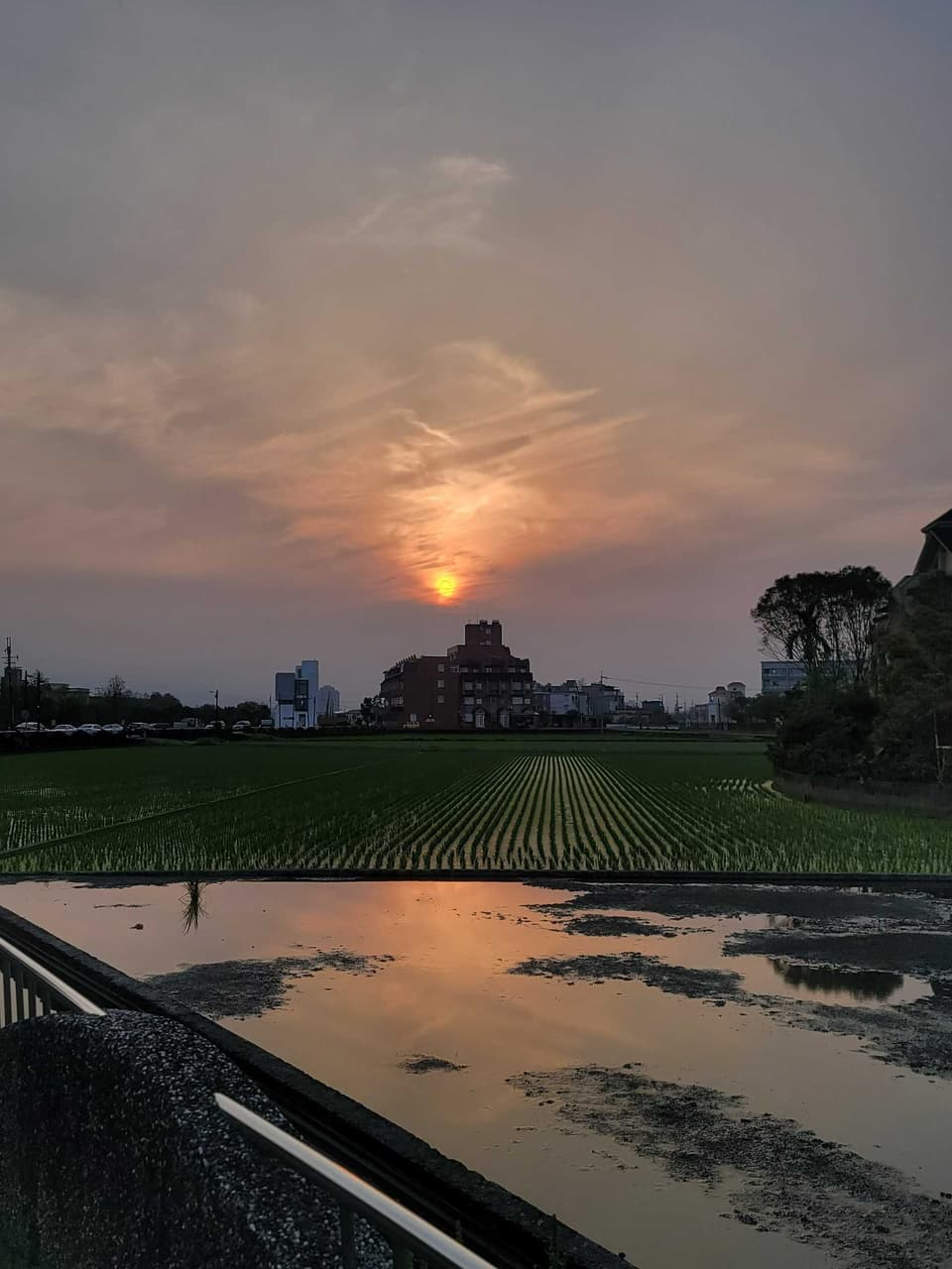 #宜蘭 #電力滿格密技 忙碌生活中的一點小確幸 - 很高的Y小姐 (@yu_0102) | Dcard