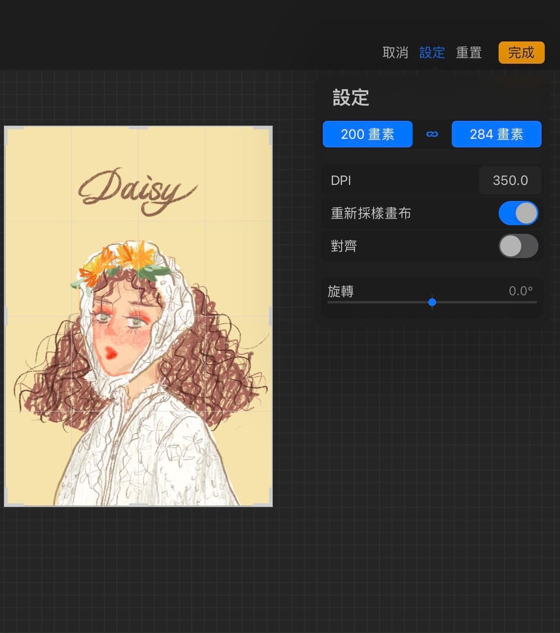 Procreate製作line主題尺寸調整問題 - 插畫板 | Dcard