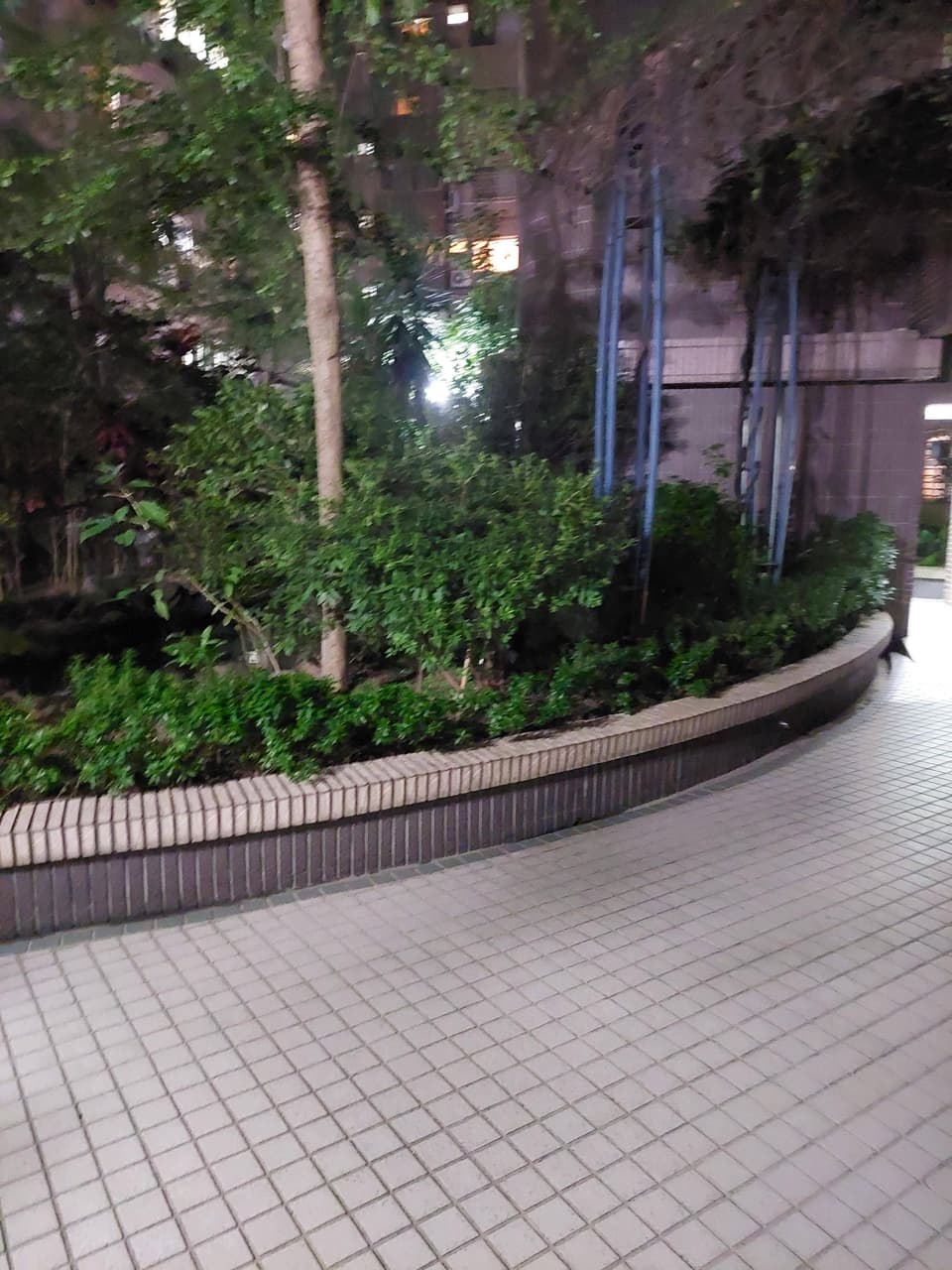 海賊王 CP9布魯諾 - Cosplay板 | Dcard