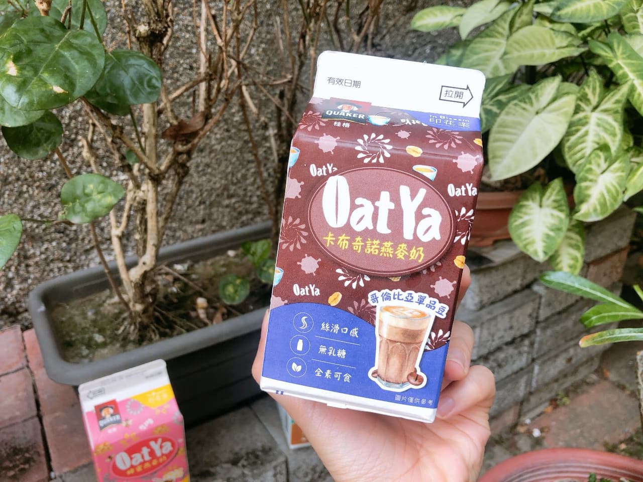 桂格OatYa燕麥奶系列 - 贊助板 | Dcard