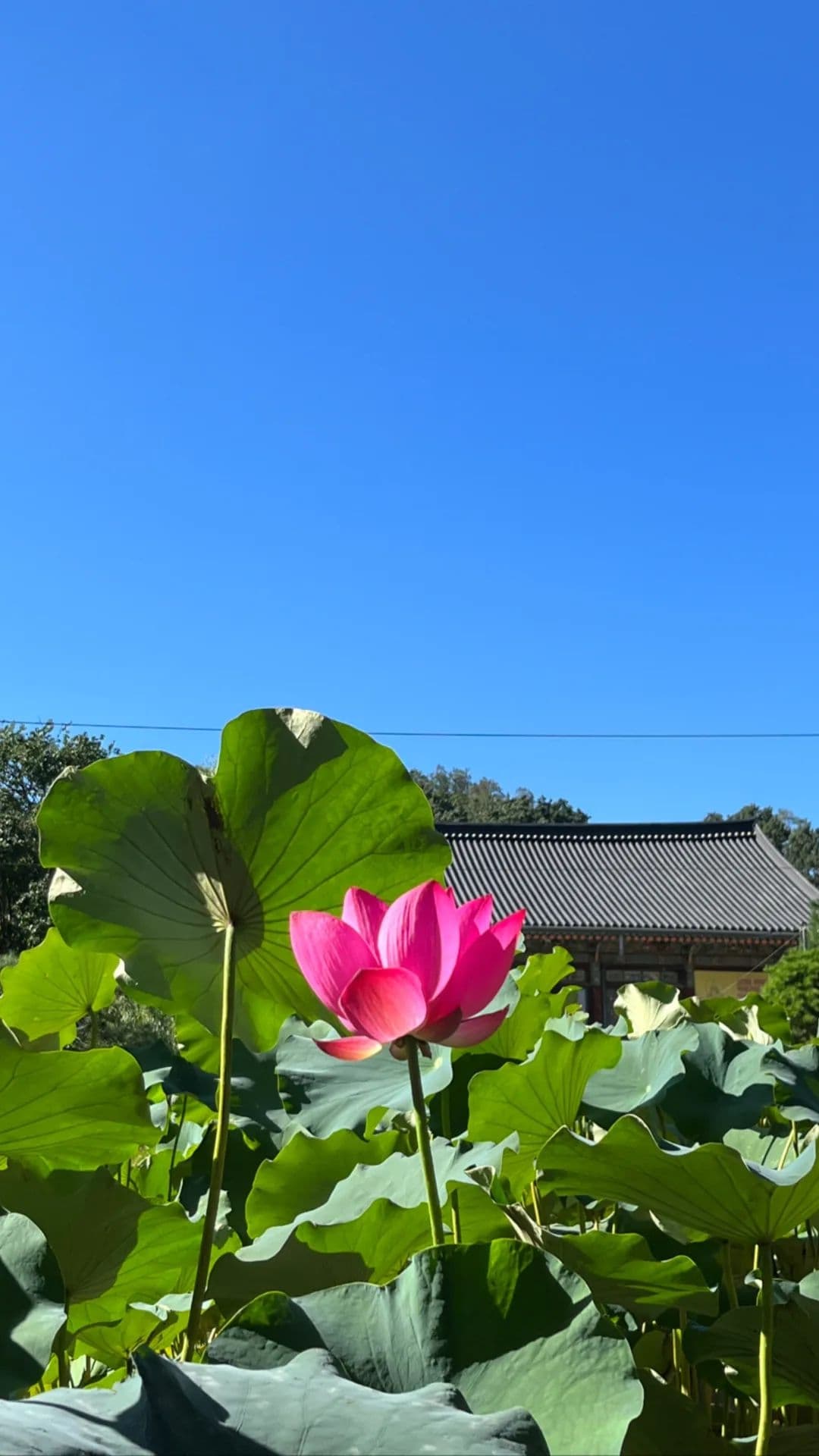 #更新 220827 雪娥、EXY、恩熙 IG 限時動態 - 宇宙少女板 | Dcard