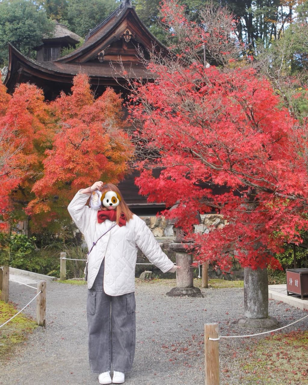 #國外遊記 名古屋自駕賞楓一日遊🚙 𓈒 𓂂𓏸 🍁 - 日本旅遊板 | Dcard