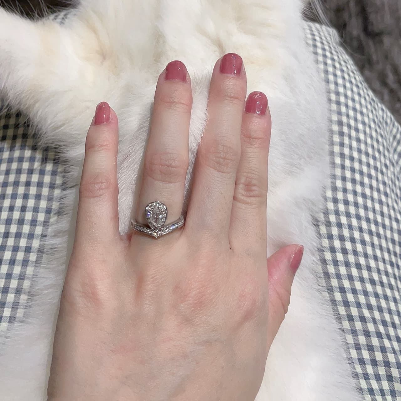 #分享 #分享 HW/Chaumet/Cartier/Tiffany/HOF/I-primo婚戒挑選 - B10 留言 | Dcard