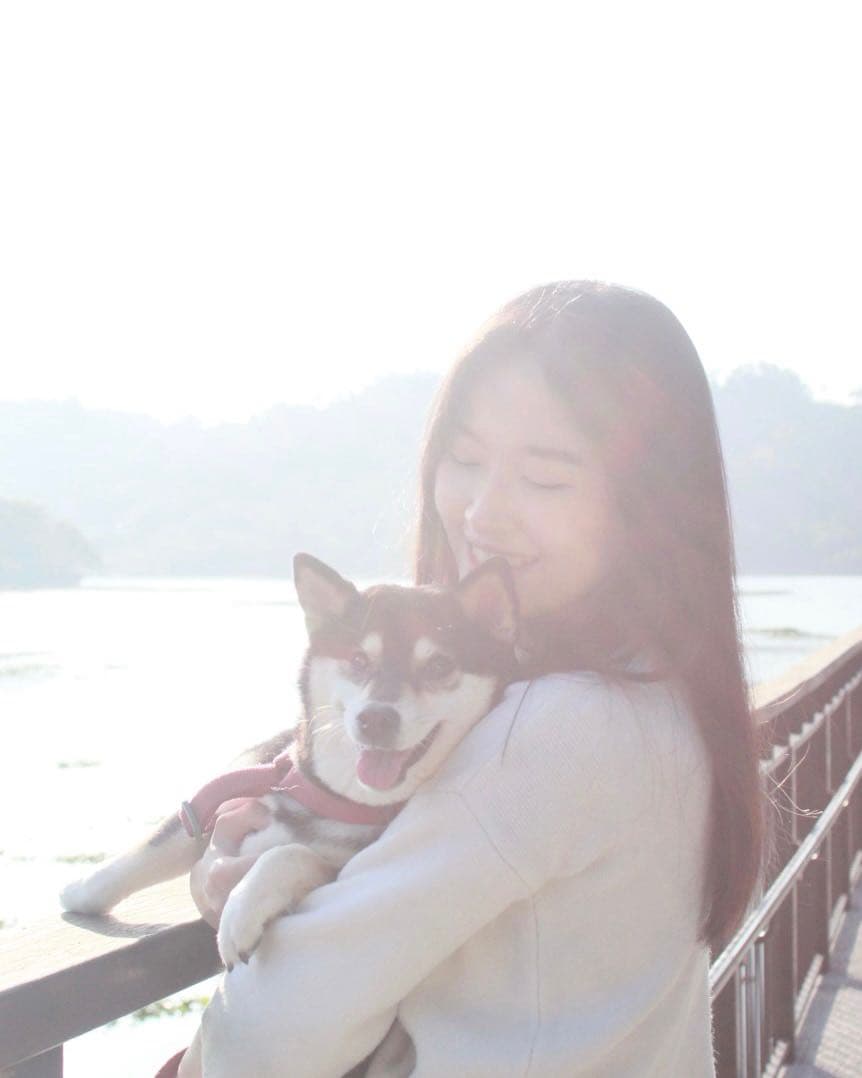 🎂的感性宣言(⁎⁍̴̛ᴗ⁍̴̛⁎) - 柴可夫斯吉 (@vera.w__) | Dcard