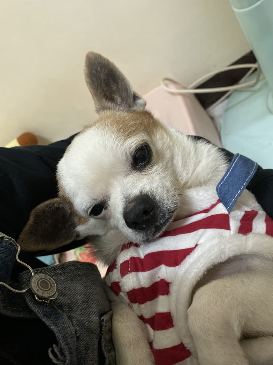 不曉得第一篇文要發啥 - 池田 (@yuiopp____) | Dcard