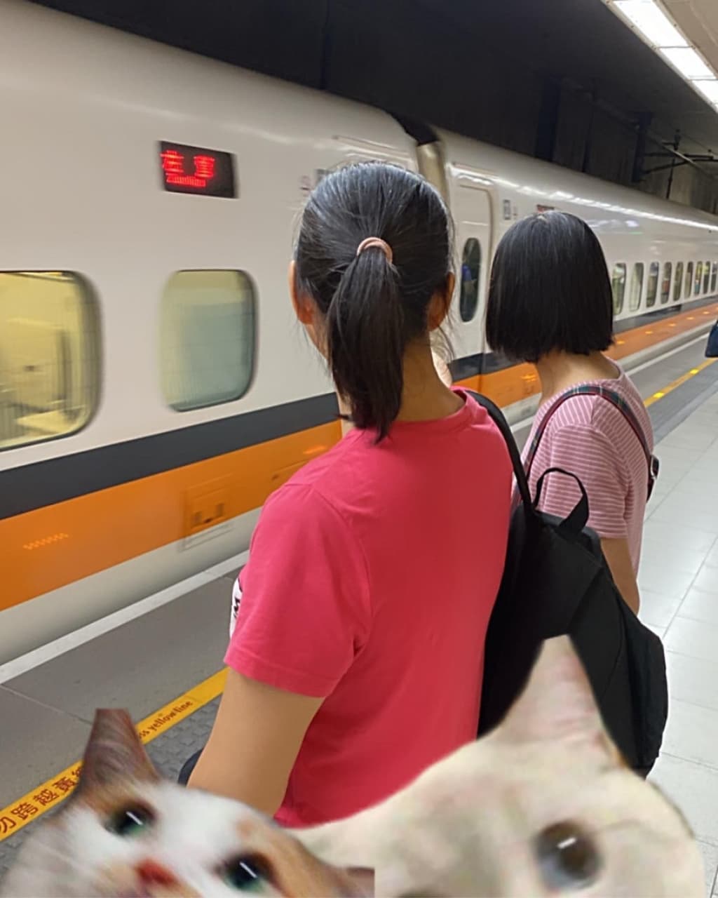 小Han (@hannah__han) | Dcard