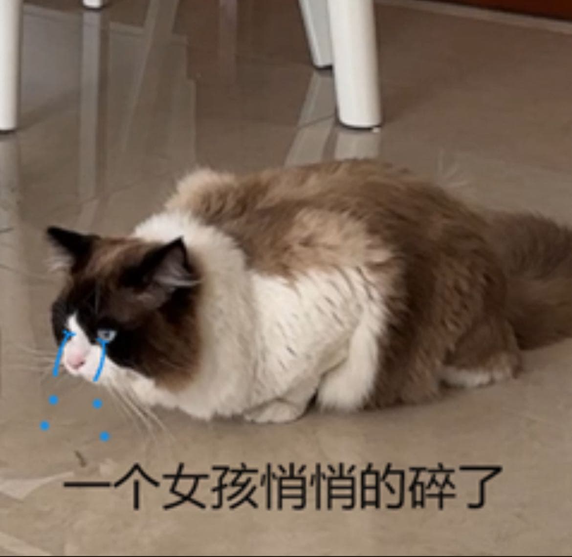 Lec 口音真的很难懂 - APU板 | Dcard