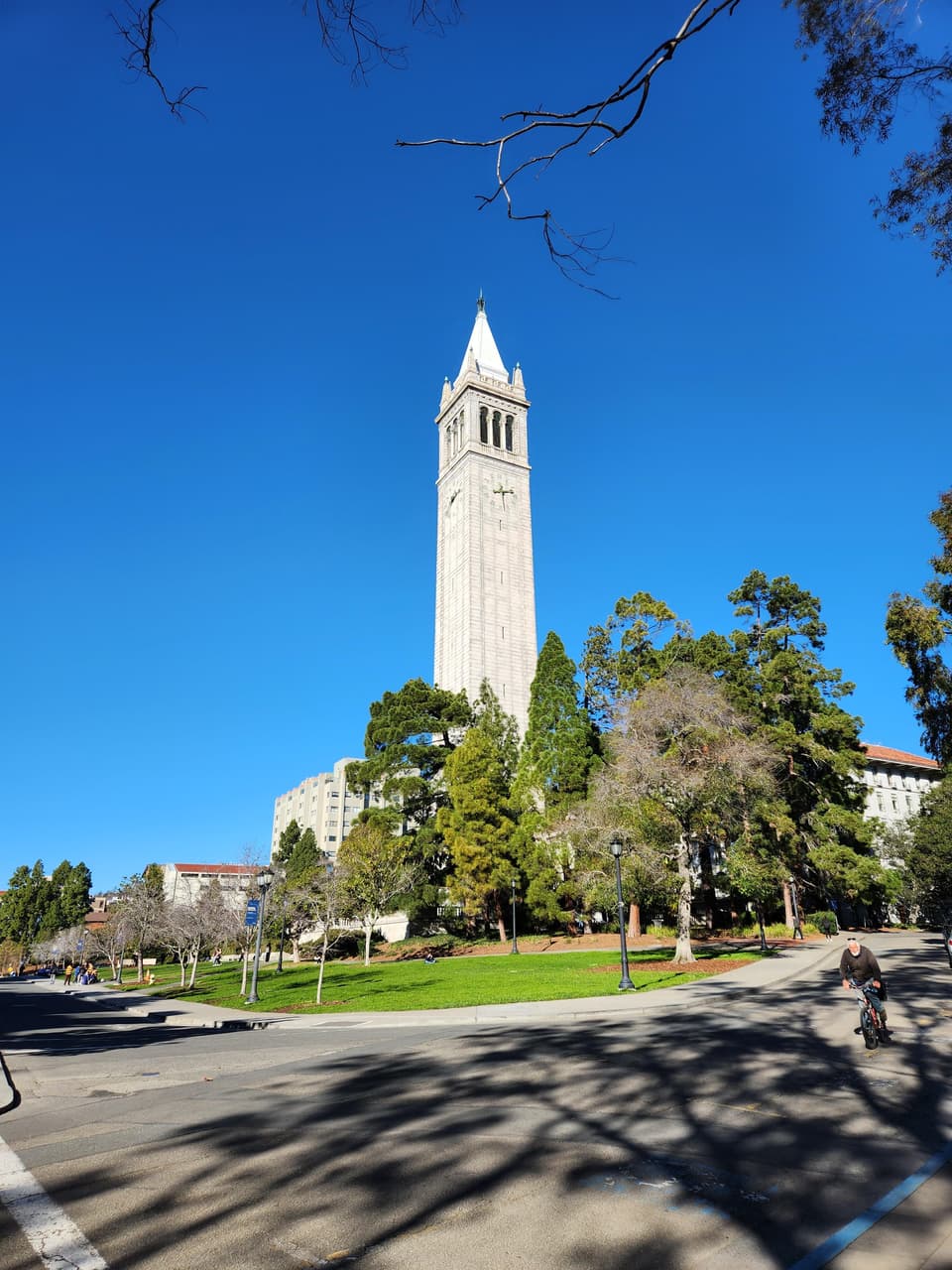 #經驗分享 錄取MIT/UCB/Yale/UCSD/UC Davis/UPenn Plant Biology PhD - 留學板 | Dcard