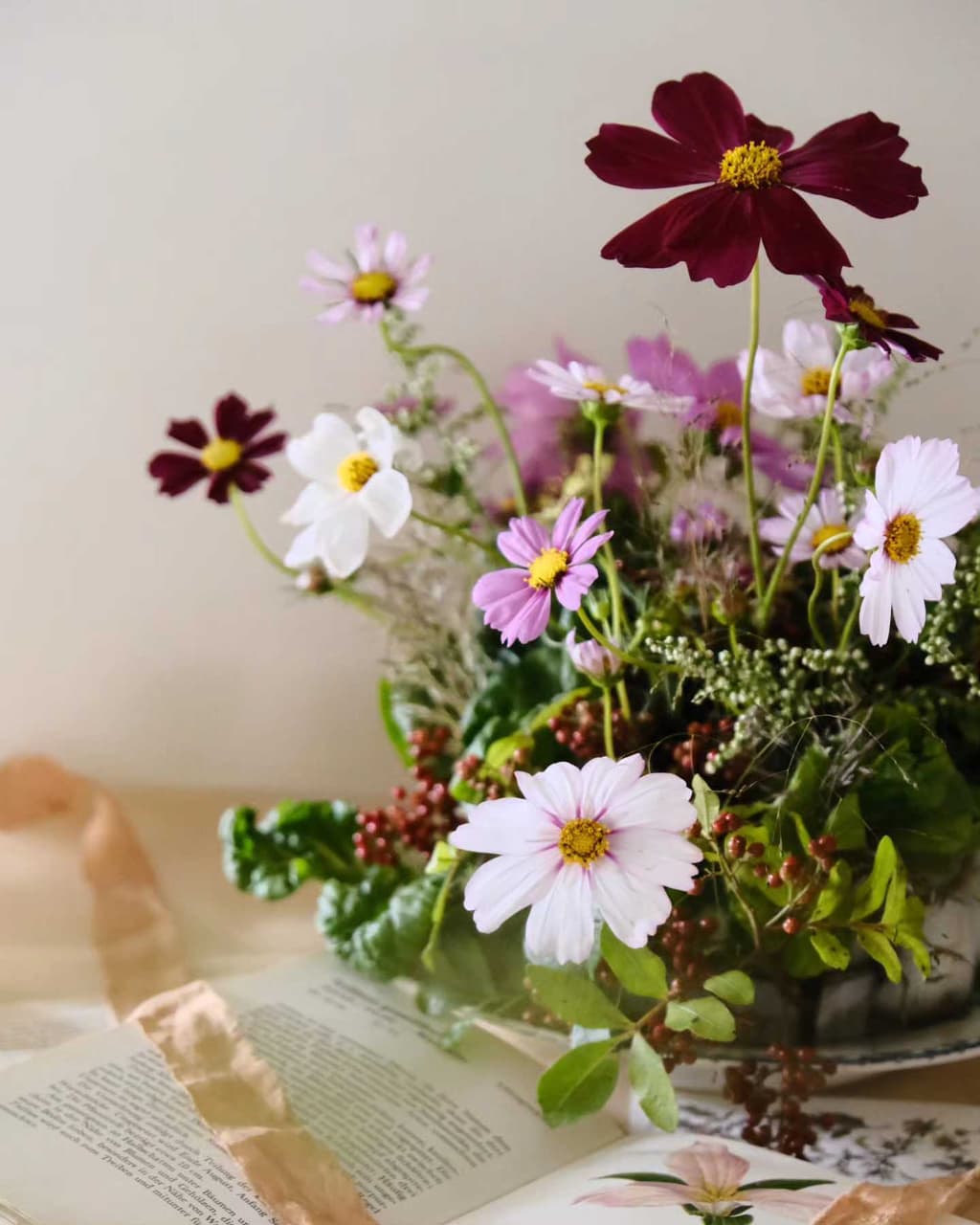 波斯菊蔬菜桌花 - 野實 (@snow.1999) | Dcard