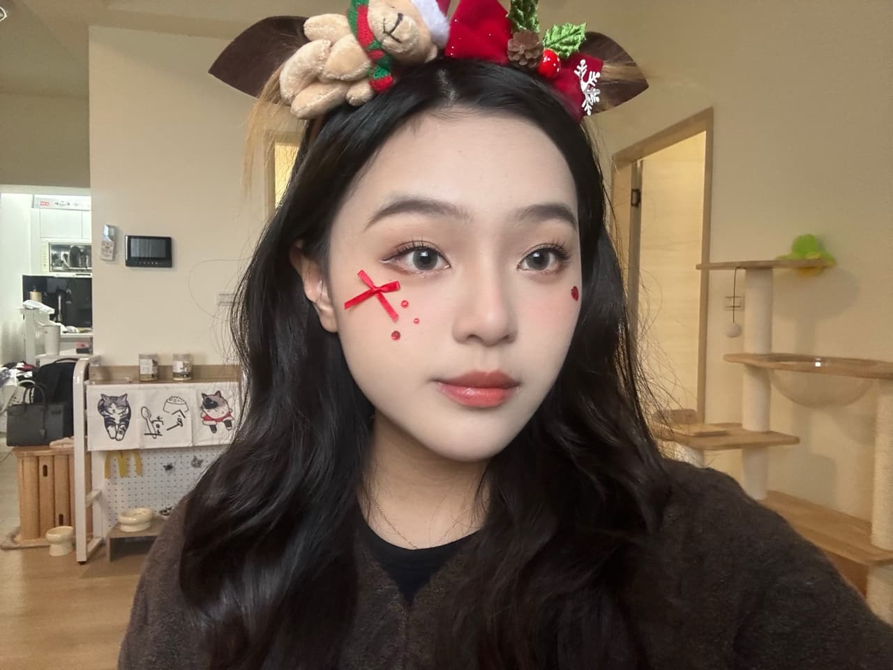 簡單聖誕🎄妝容分享 - 快樂的瓜農 (@emmaho) | Dcard